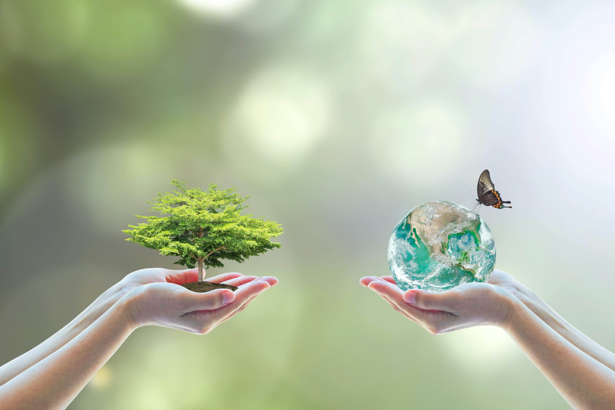 Remedy Clothing Co | What is "Eco-Friendly?"